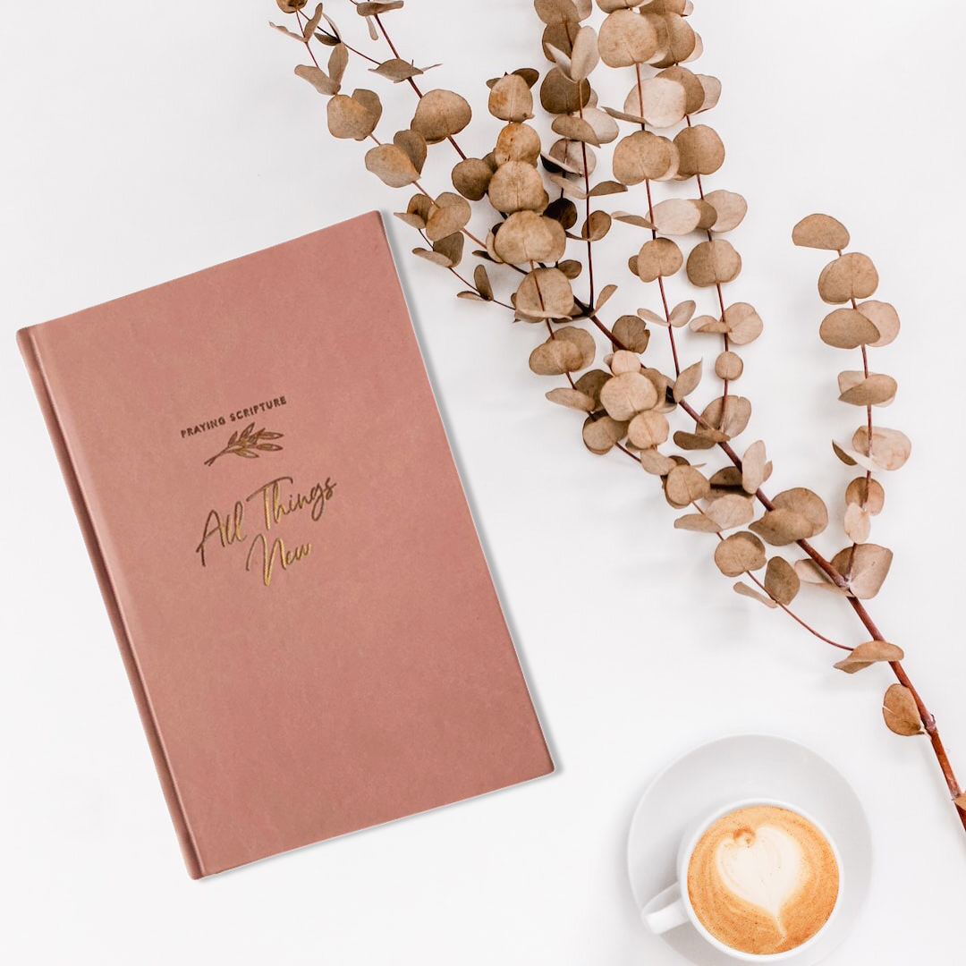 ALL THINGS NEW PRAYING SCRIPTURE JOURNAL - GOLD FOIL – BRITT AND BAY ...